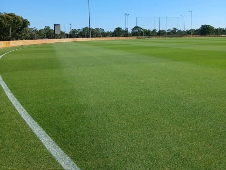 What Does Sports Turf Maintenance Cost in Australia In 2026